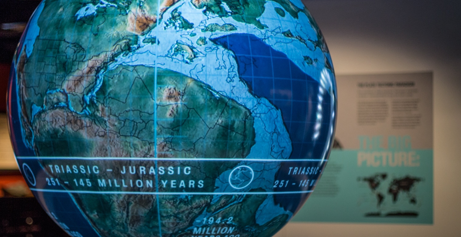 High Impact For All Audiences - Dynamic Earth - Pufferfish