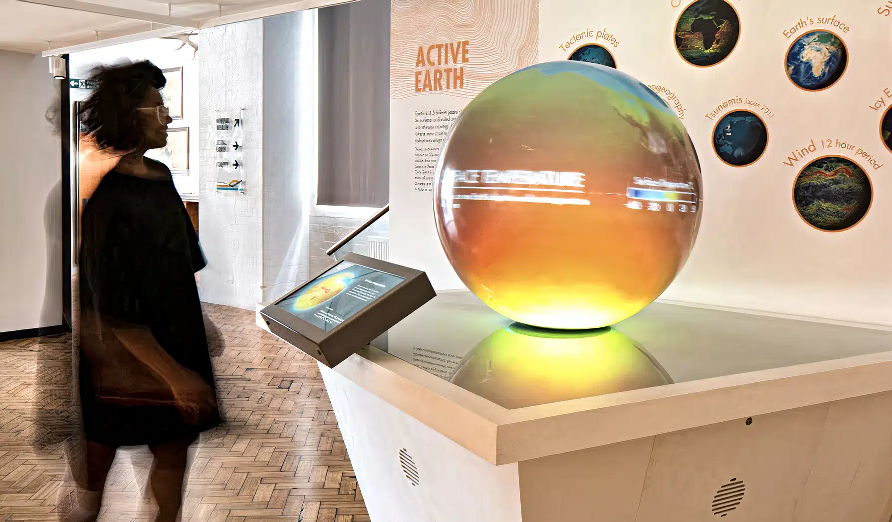 Fresh Perspective- Pufferfish For the Lapworth Museum of Geology